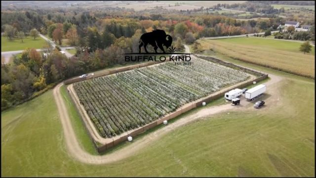 Cannabis, Weed, Marijuana Brand & Marijuana | Orchard Park, NY, Hamburg ...